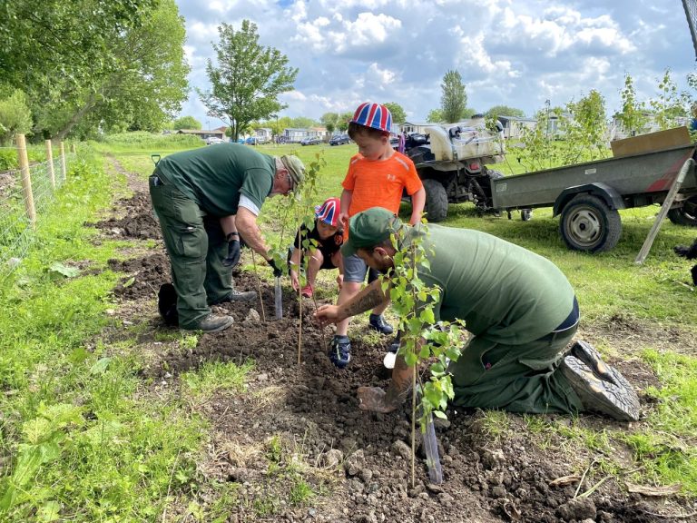 Tree Plating 3 - Marketing Lancashire
