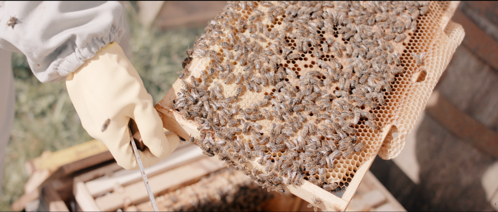 Simon Cordingley - Living and Working in Lancashire - Marketing Lancashire