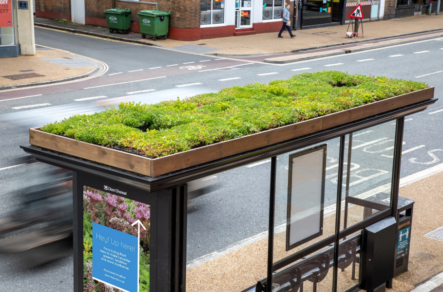 Chorley's new 'living roof' bus shelters boost biodiversity - Marketing ...