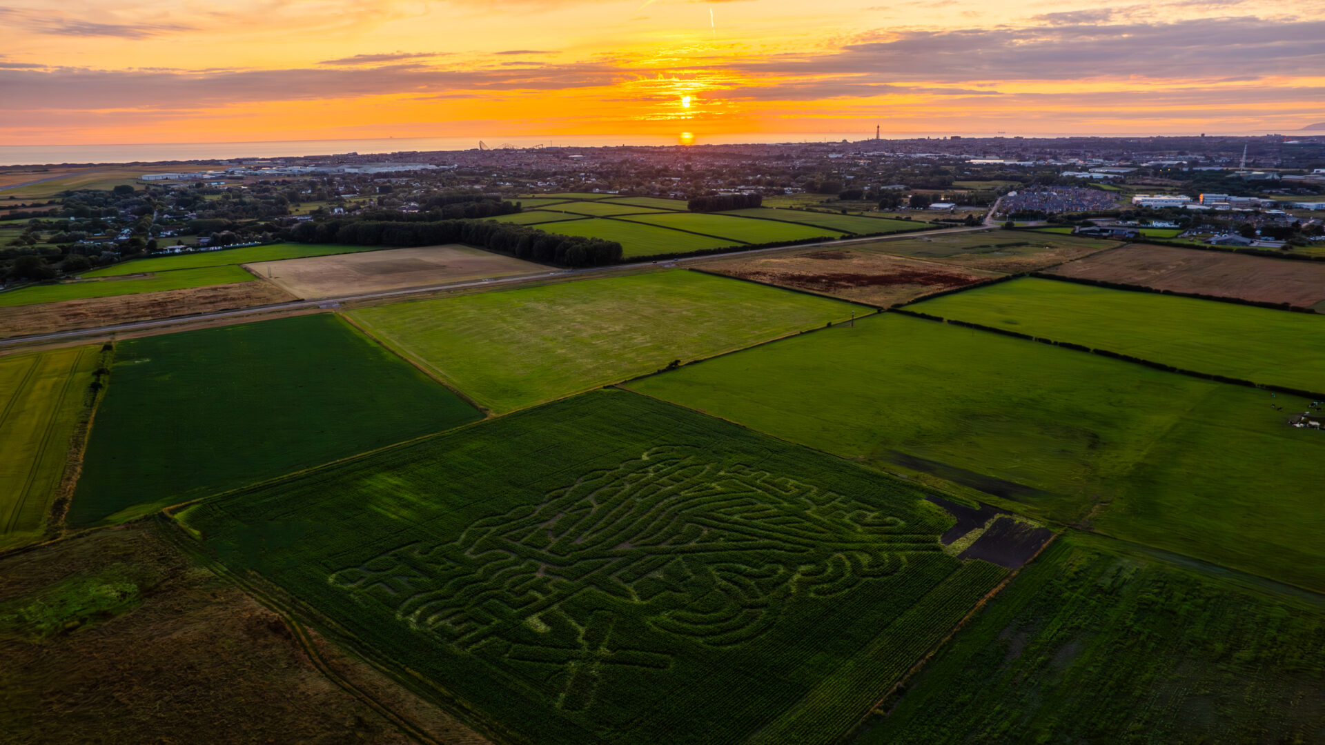 Ridgeway-Farm-Maize-Maze-sunset - Marketing Lancashire