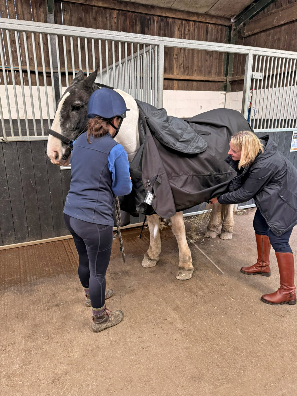 HAPPA Rose Blossoms Thanks to Heart-Warming Gift from Cross Section ...